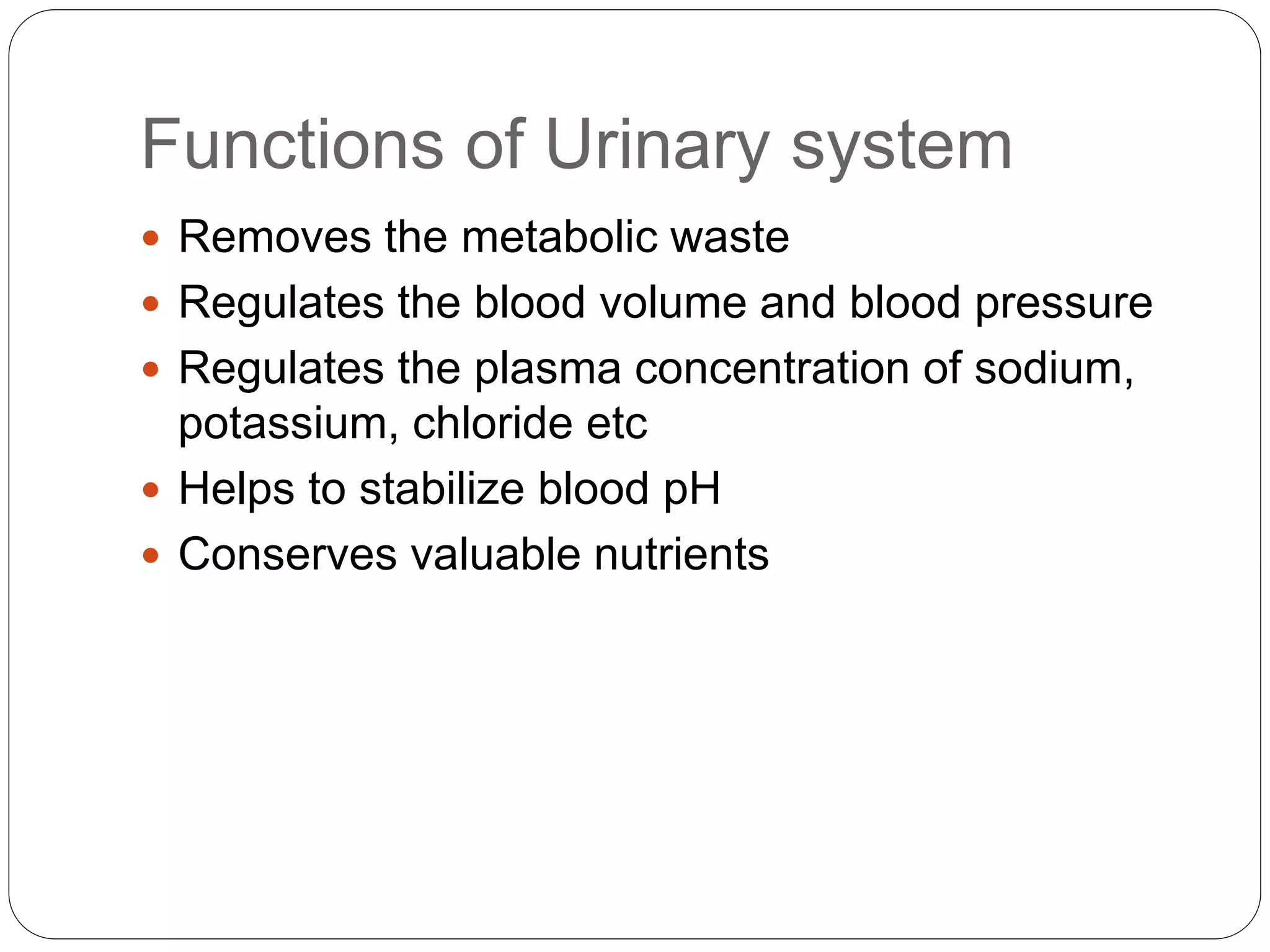 Unit 4 urinary system | PPTX