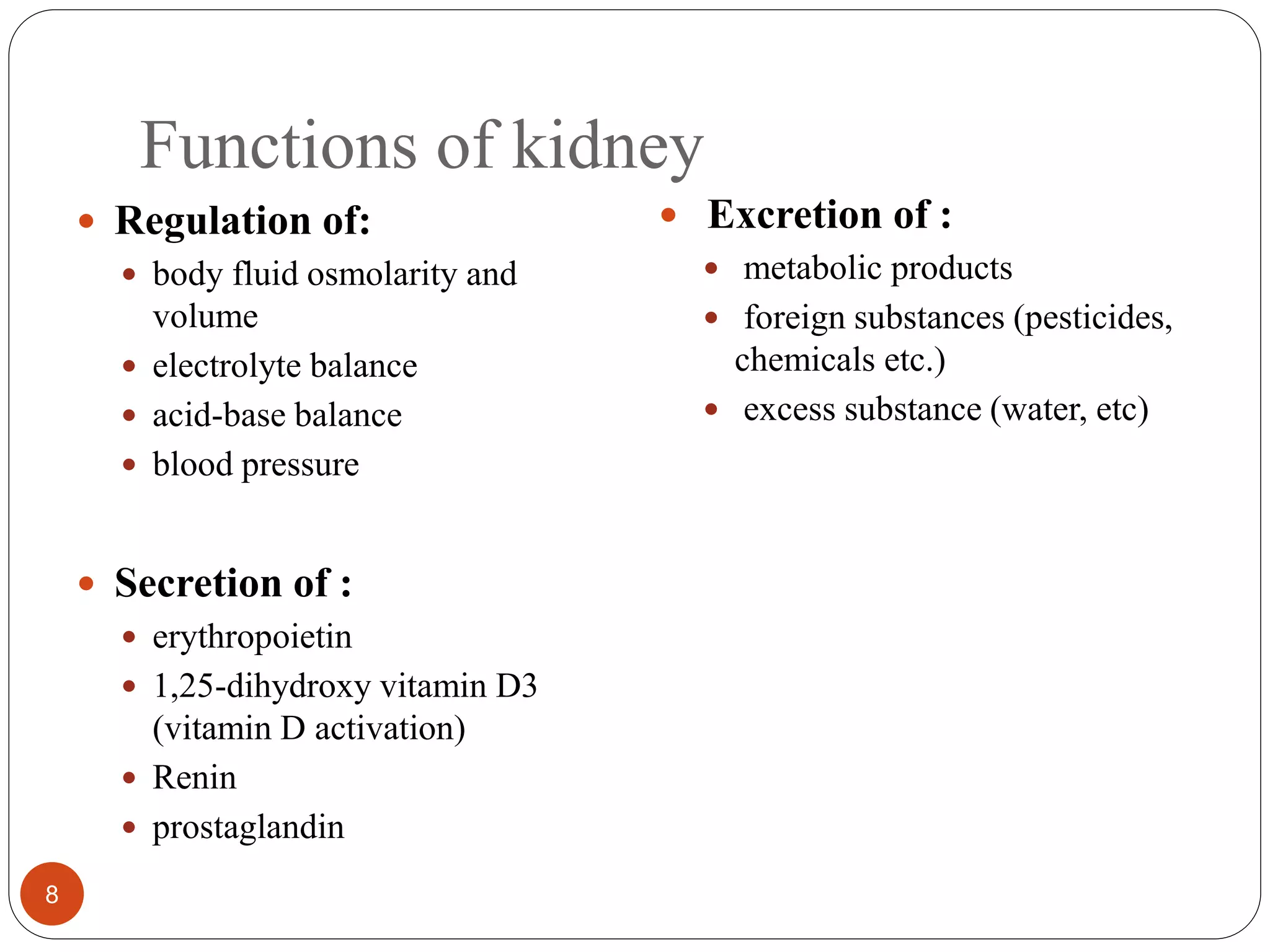 Unit 4 urinary system | PPTX