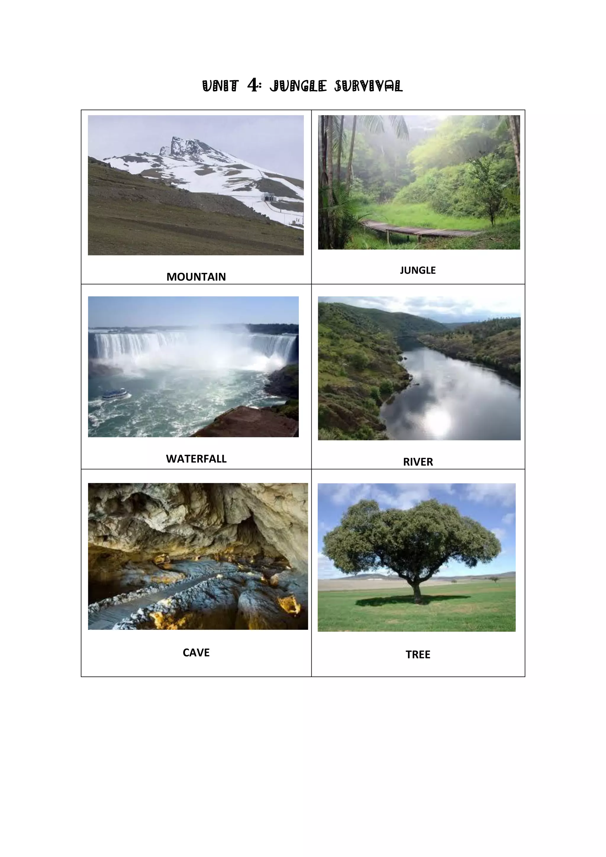 Unit 4 vocabulary_Jungle survival | PDF | Free Download