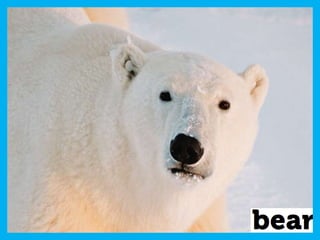 Unit 4 vocabulary | PPT