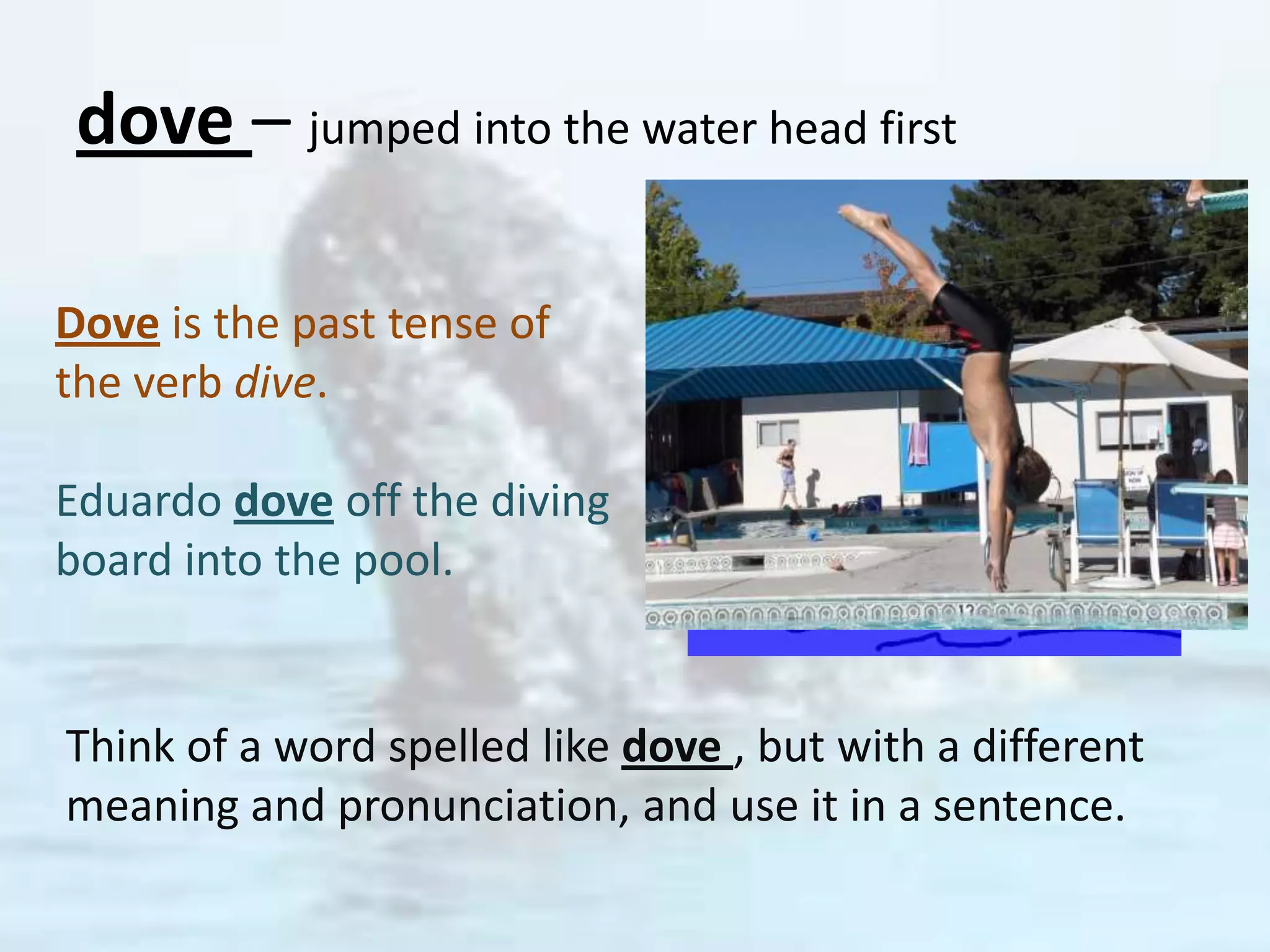 Unit4wk4 adelinas whales intro unit | PPT