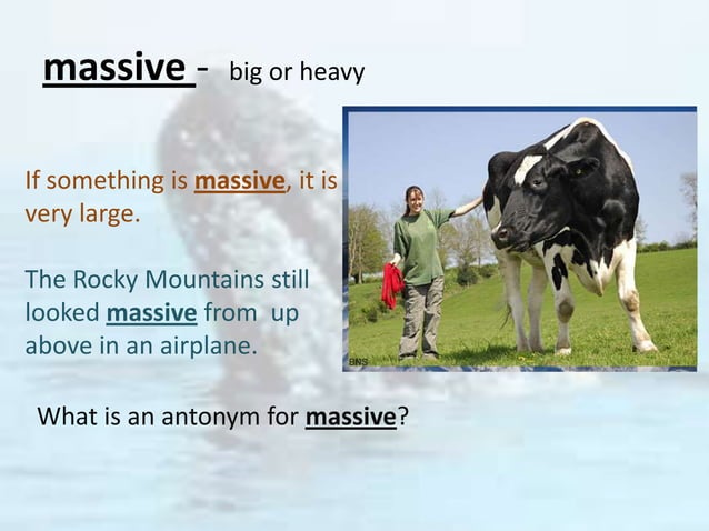 Unit4wk4 adelinas whales intro unit | PPT