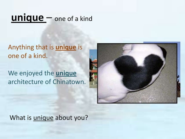 Unit4wk4 adelinas whales intro unit | PPT