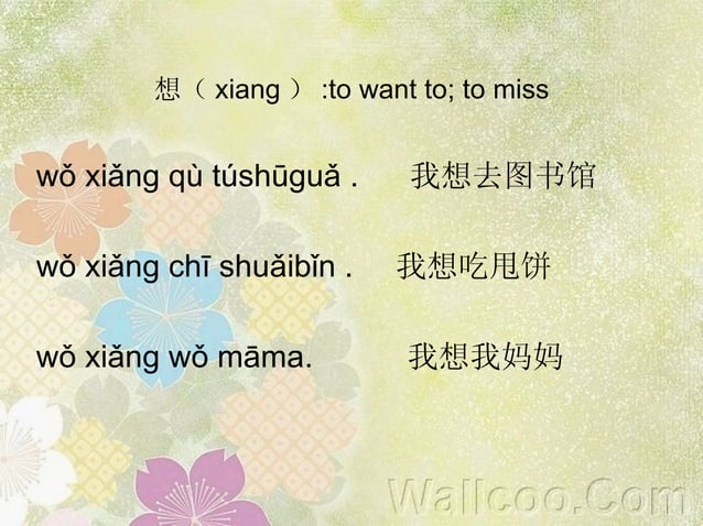 Mandarin Level 1 Unit 5 | PPT