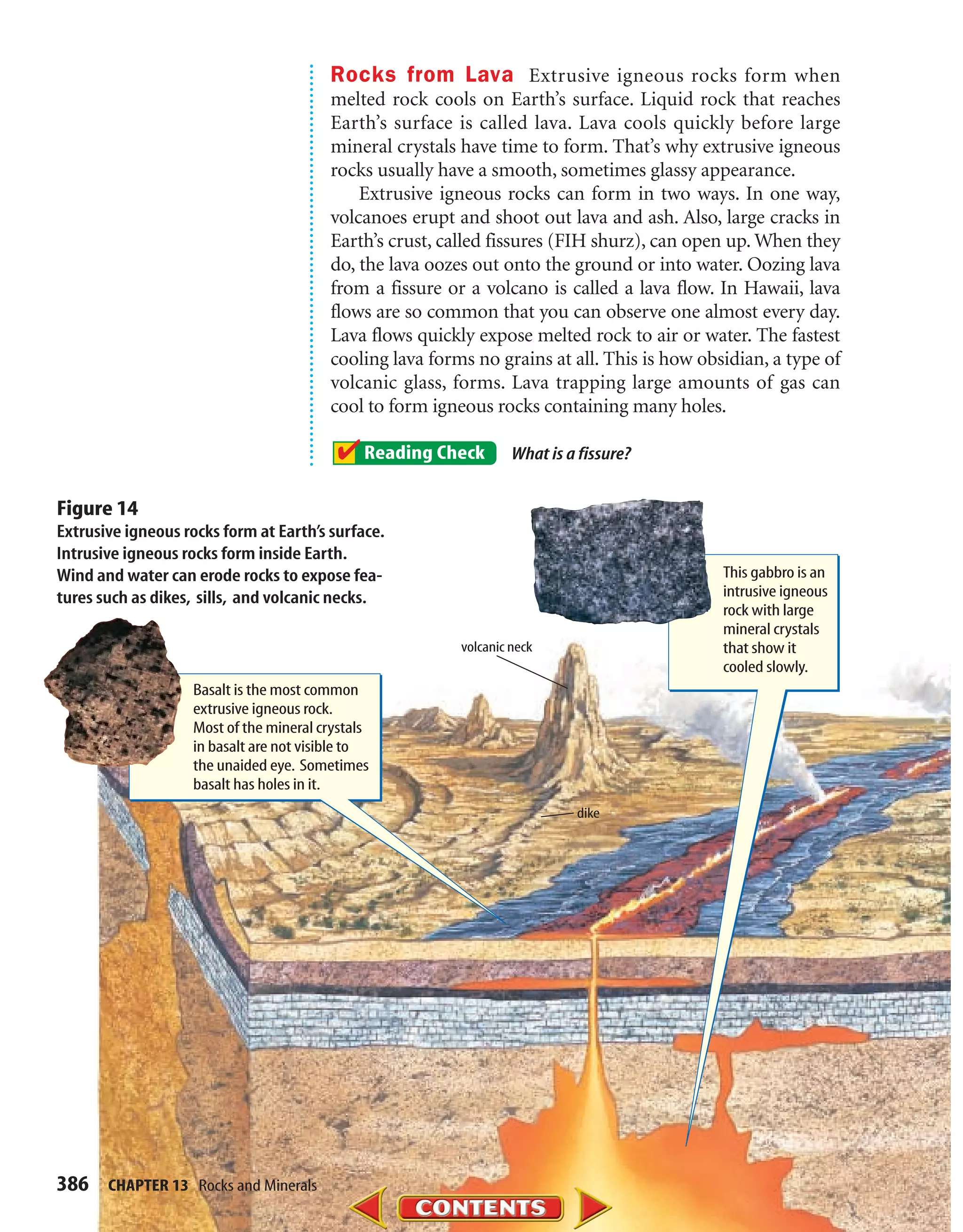 Unit 5 Science (Glencoe Red 2002) | PDF