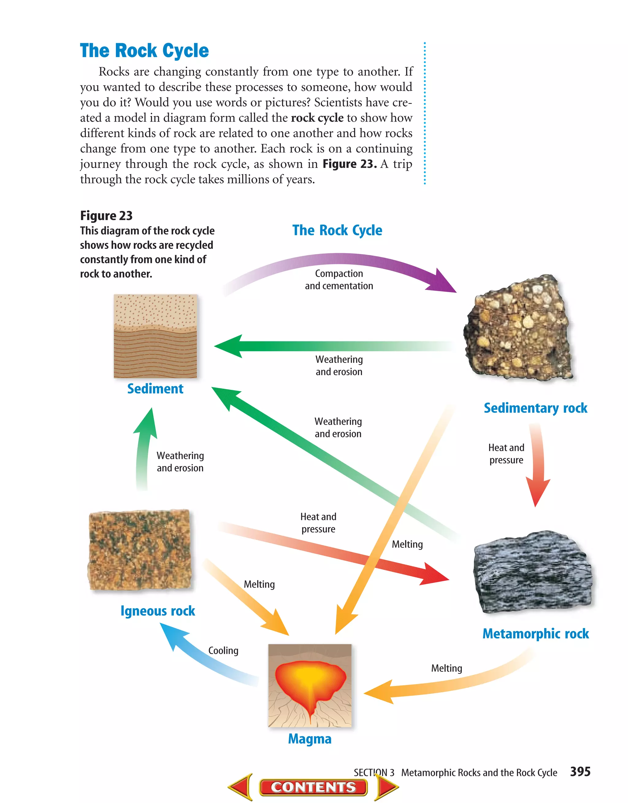 Unit 5 Science (Glencoe Red 2002) | PDF