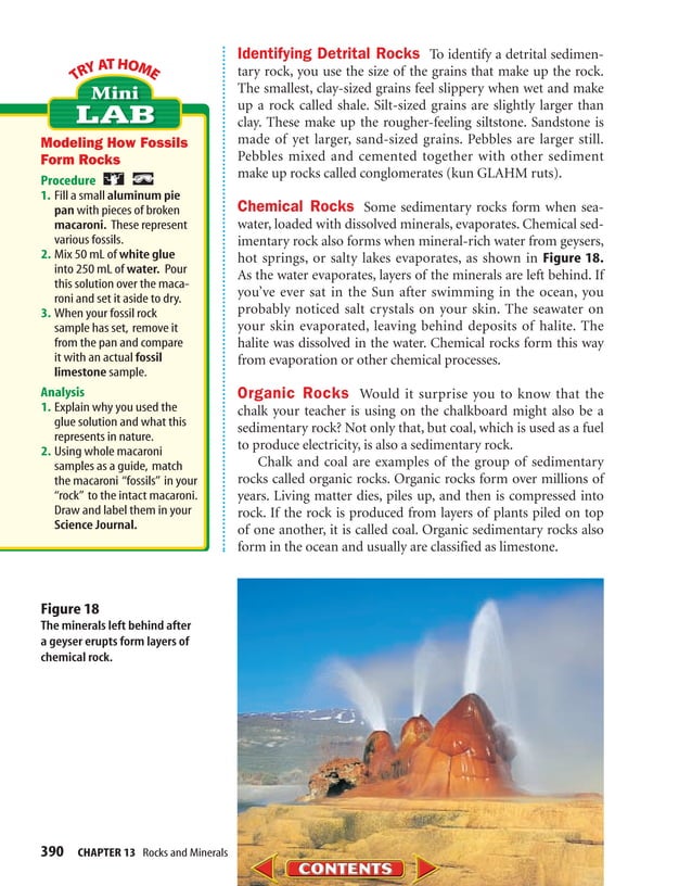 Unit 5 Science (Glencoe Red 2002) | PDF