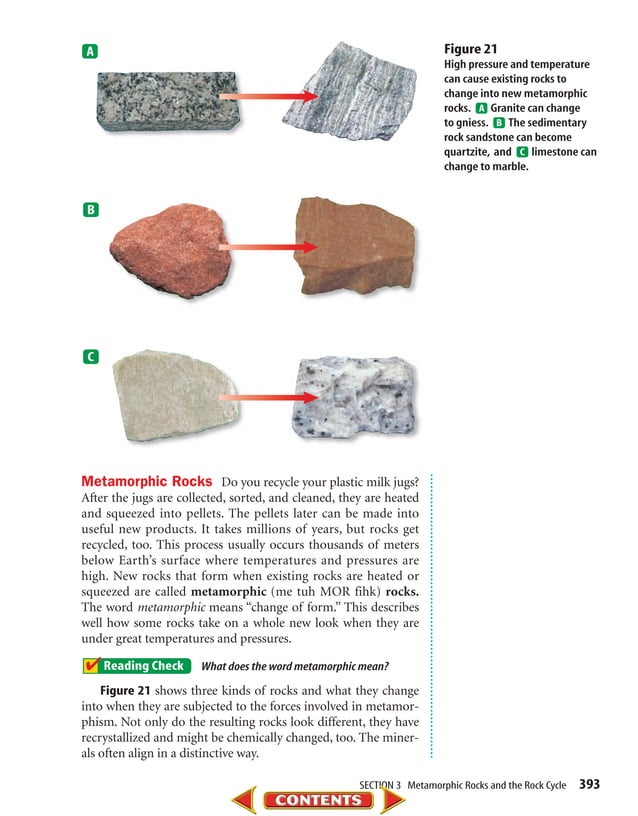 Unit 5 Science (Glencoe Red 2002) | PDF