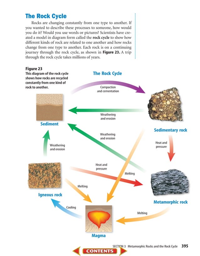 Unit 5 Science (Glencoe Red 2002) | PDF