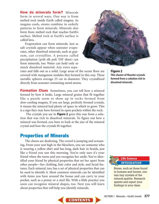 Unit 5 Science (Glencoe Red 2002) | PDF