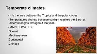 Unit 5 - WORLD LANDSCAPES | PPT