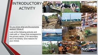 Unit 5. Economic activity. the globalization | PPT