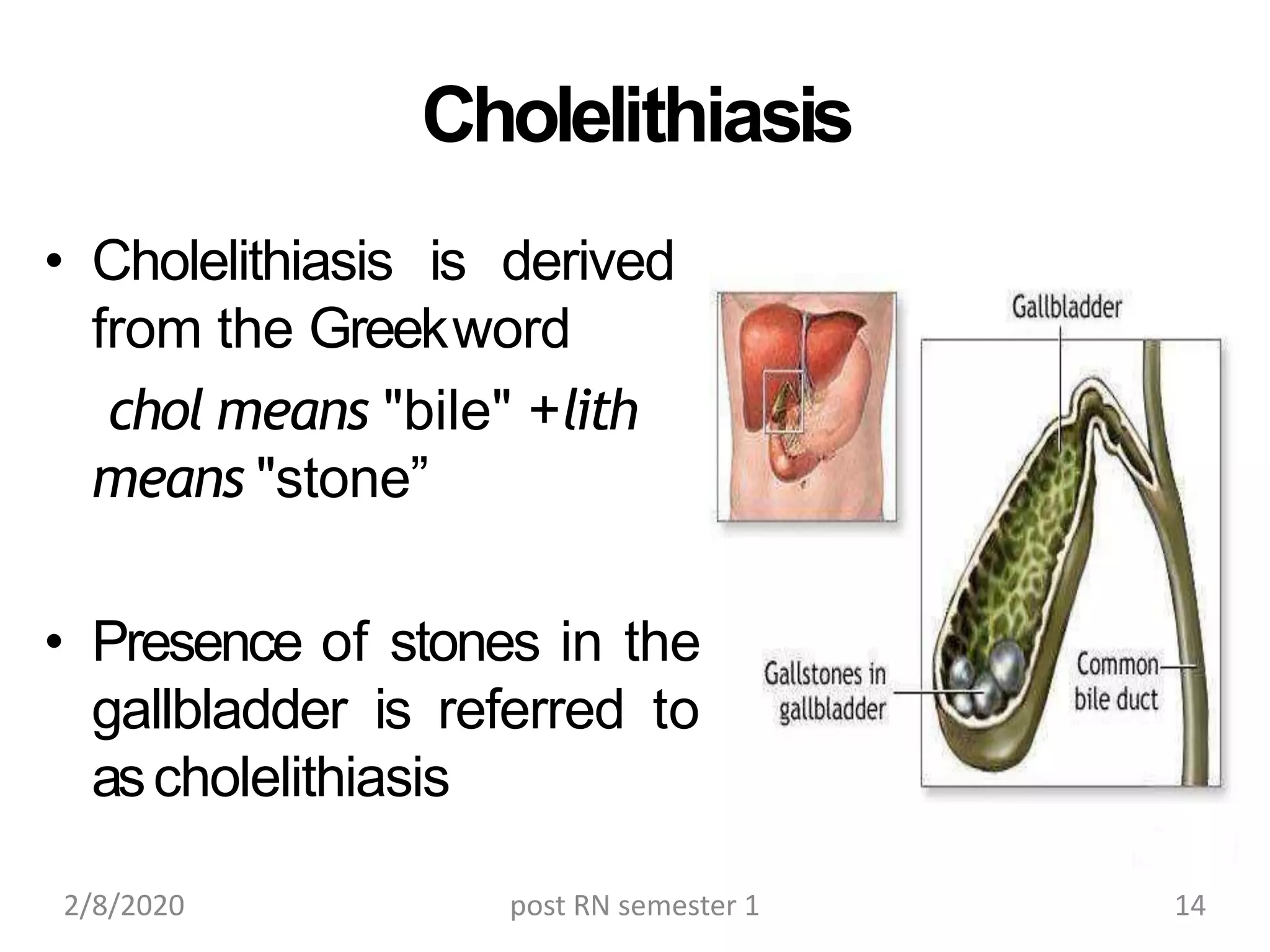 Unit 5 Adult Health Nursing | PPTX