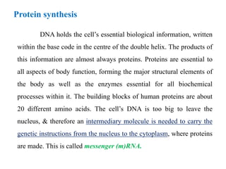 Introduction to genetics | PPTX