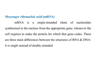 Introduction to genetics | PPTX