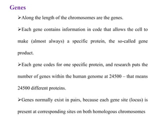 Introduction to genetics | PPTX
