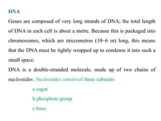 Introduction to genetics | PPTX