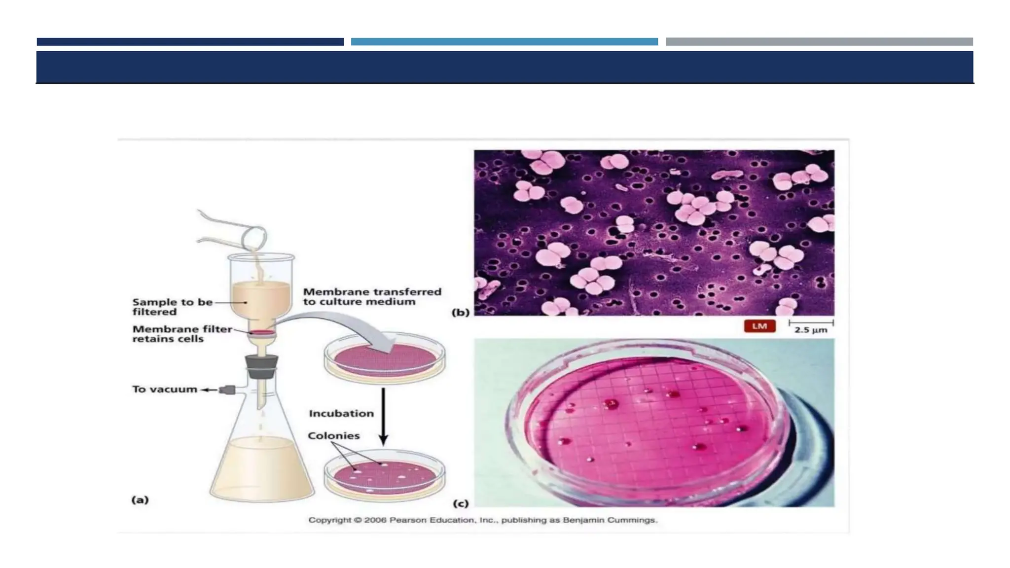 Unit 5 micro bpharmacy pci syllabus sem 3 | PPTX