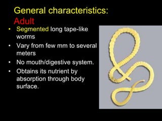 u,d,ds,.s,d.s,.d,çwleç,,d,nit 5. Tapeworms.ppt