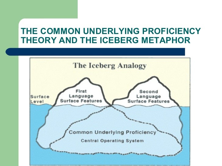What Is The Difference Between A Theory A Hypothesis And A Principle