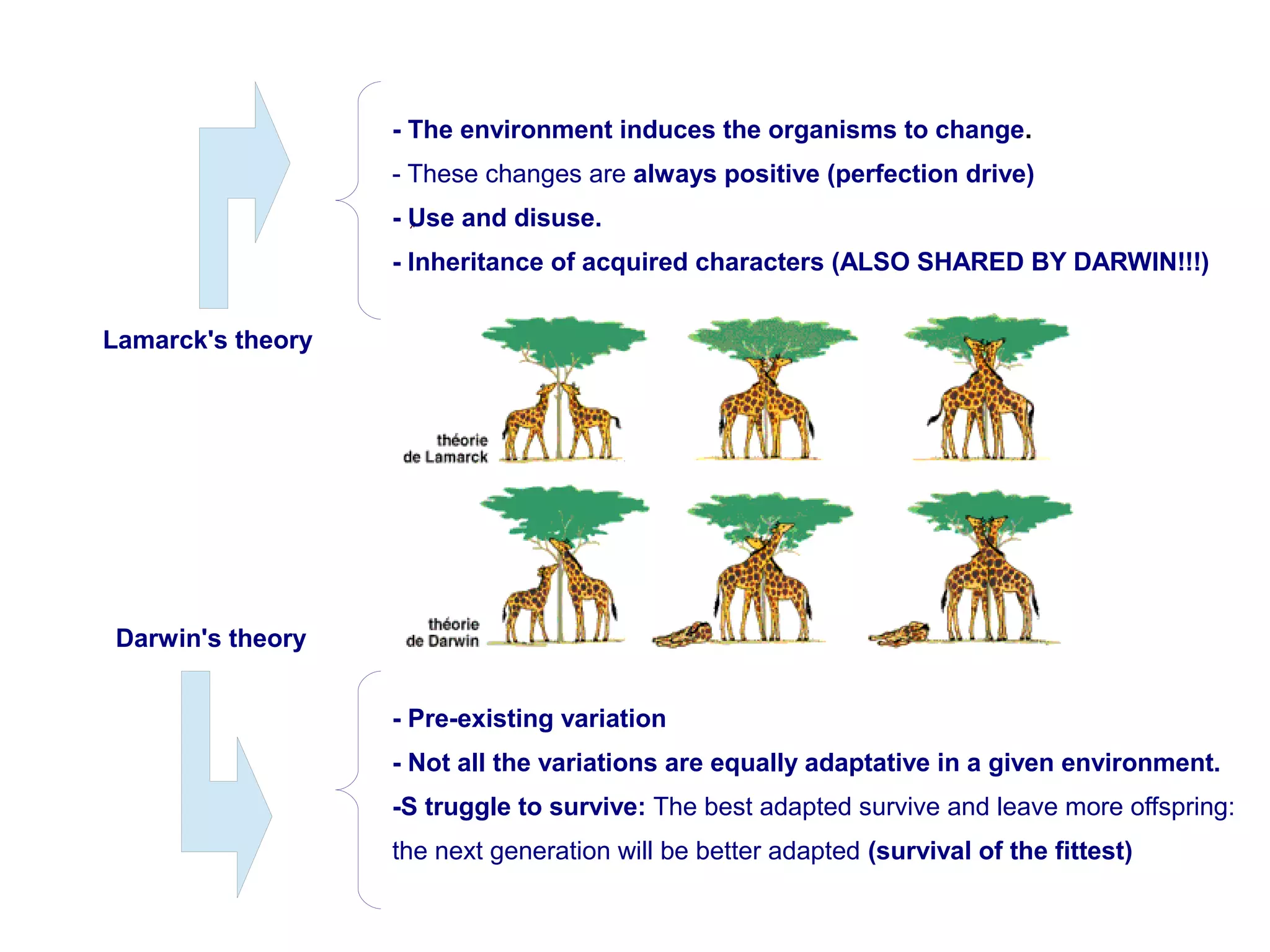 Unit5 biological evolution | PDF