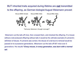 Unit5 biological evolution | PDF