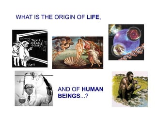 Unit5 biological evolution | PDF