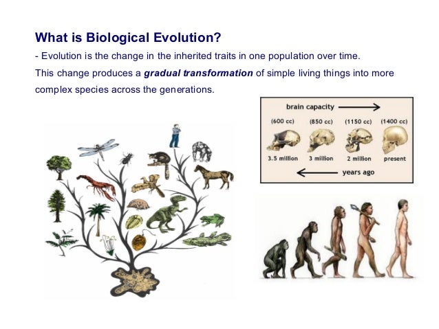 Unit5 biological evolution