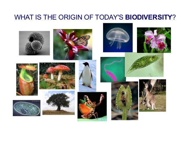 Unit5 biological evolution