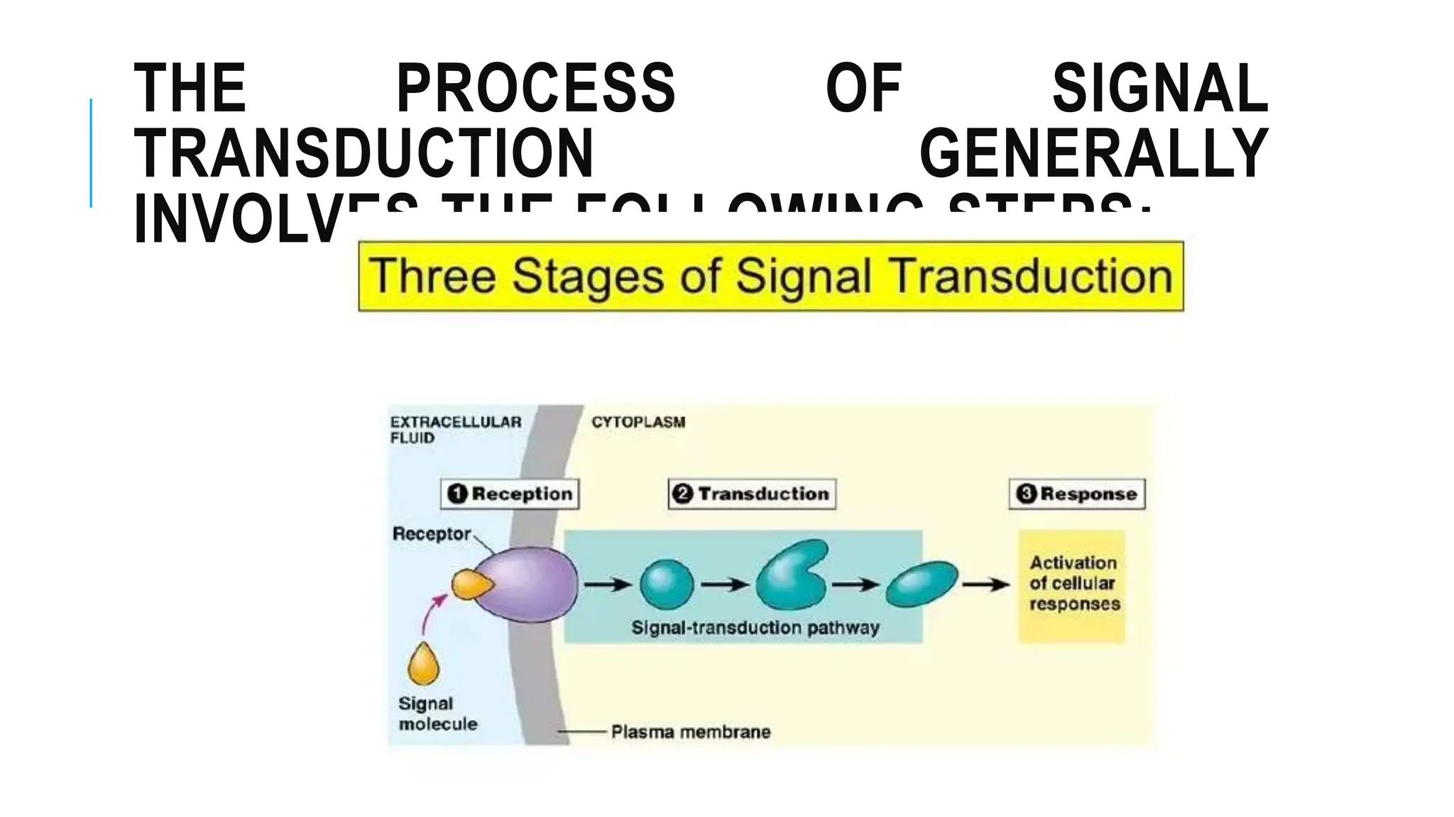 Unit 5- Cell Interactions and Signal Transduction.ppt