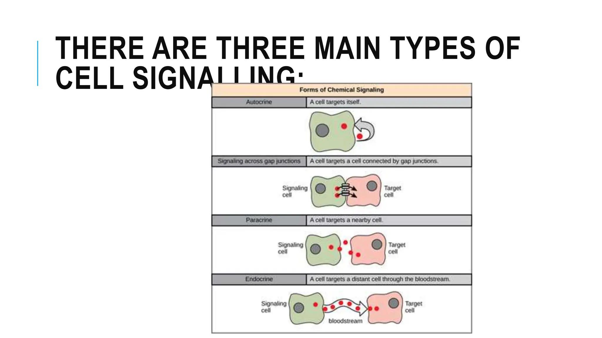Unit 5- Cell Interactions and Signal Transduction.ppt