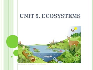 Unit 5 Ecosystems | PPT