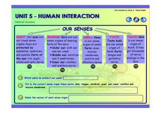 Unit 5 human interaction (natural science) | PDF