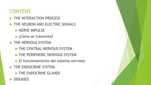 Unit 5 Nervous and endocrine systems | PPT | Free Download