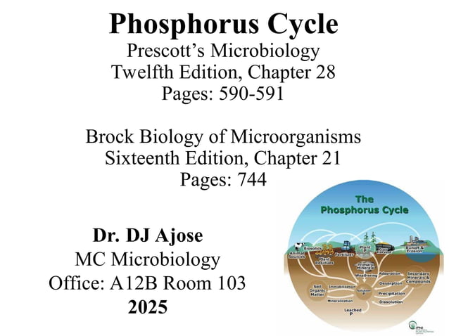 Unit 5 - Phosphorus Cycle 2025 (1)...ppt