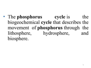 Unit 5 - Phosphorus Cycle 2025 (1)...ppt