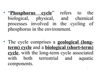 Unit 5 - Phosphorus Cycle 2025 (1)...ppt