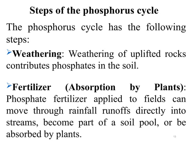 Unit 5 - Phosphorus Cycle 2025 (1)...ppt