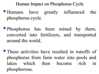 Unit 5 - Phosphorus Cycle 2025 (1)...ppt