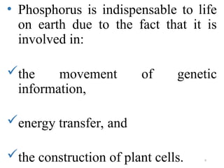 Unit 5 - Phosphorus Cycle 2025 (1)...ppt