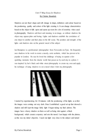 Unit 57 Blog Essay For Shadows | DOCX