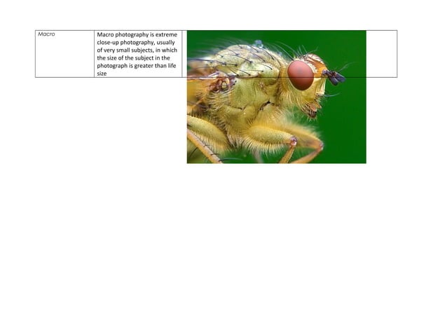 Unit57 terminology luke finlay | PPT