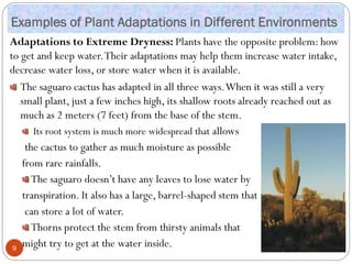 Unit 5 Adaptation different habitats.pdf