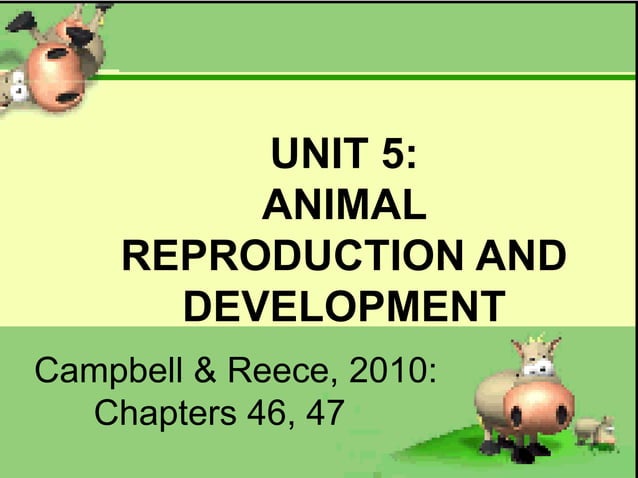 Unit 5 animal reproduction and development | PPTX