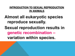 Unit 5 animal reproduction and development | PPTX