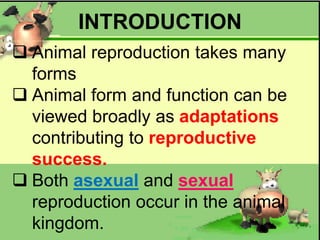 Unit 5 animal reproduction and development | PPTX