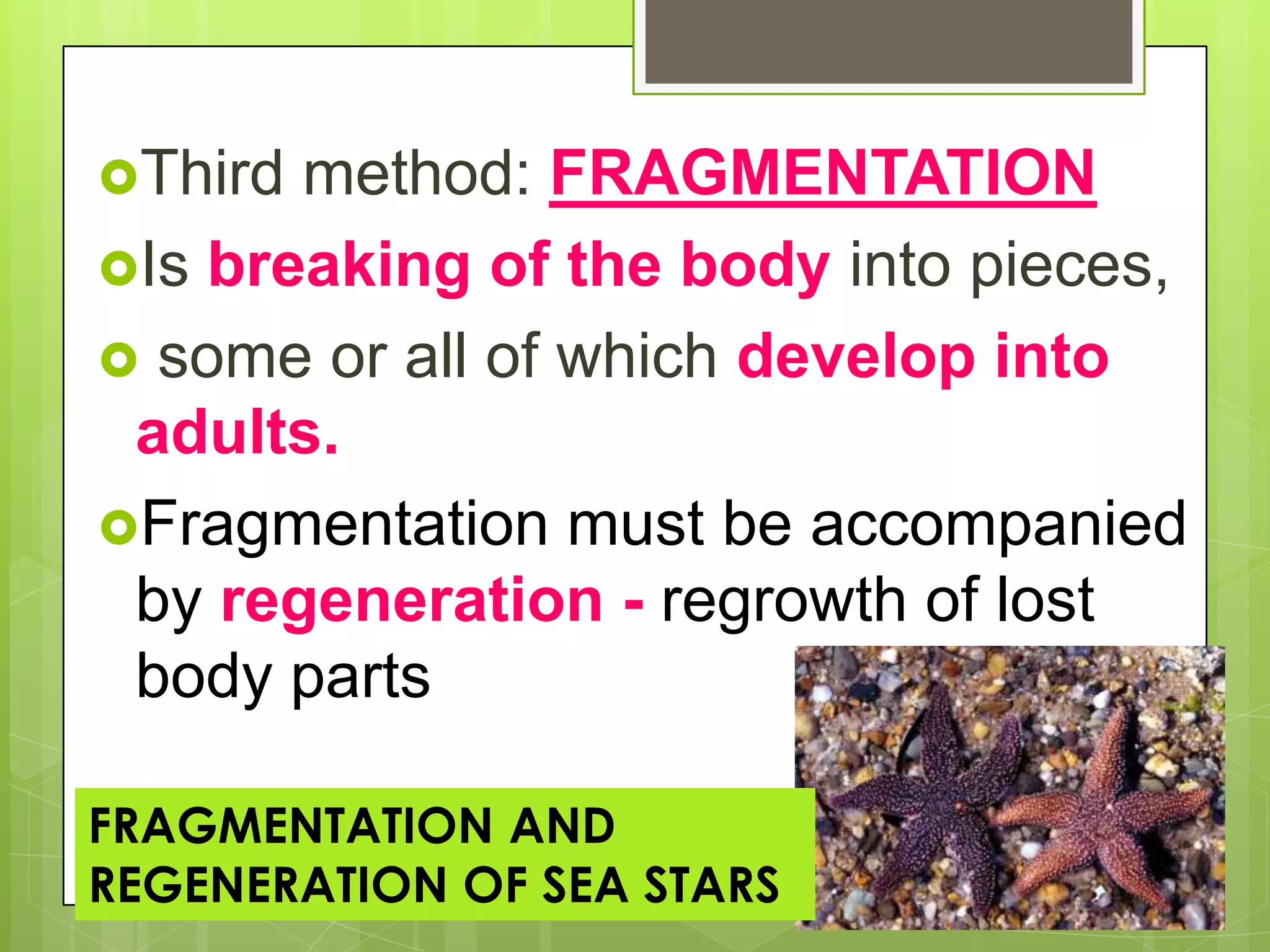 Unit 5 animal reproduction and development | PPTX