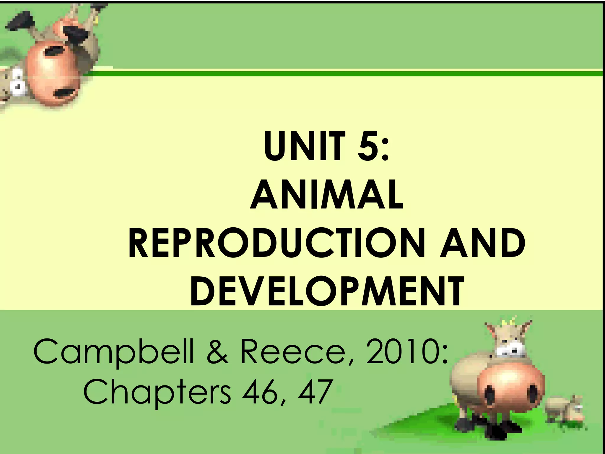 Animal Reproduction & Development: Key Concepts | PPT
