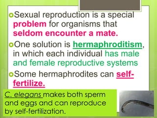 Unit 5 animal reproduction and development | PPTX
