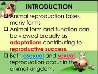 Unit 5 animal reproduction and development | PPTX